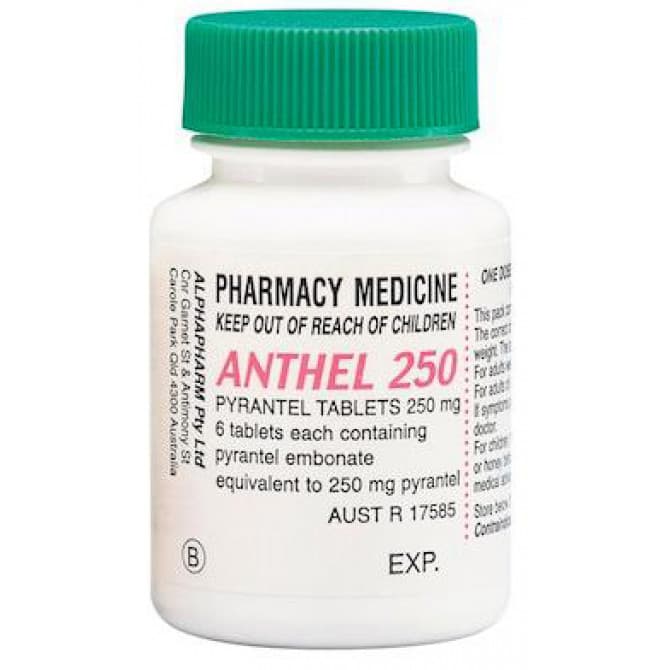 Buy Anthel 250mg 6 Tablets Online | Chempro Chemists