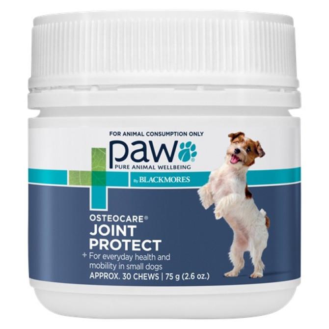 Buy Blackmores PAW OsteoCare Joint Protect for Small Dogs 30 Chews 75g ...
