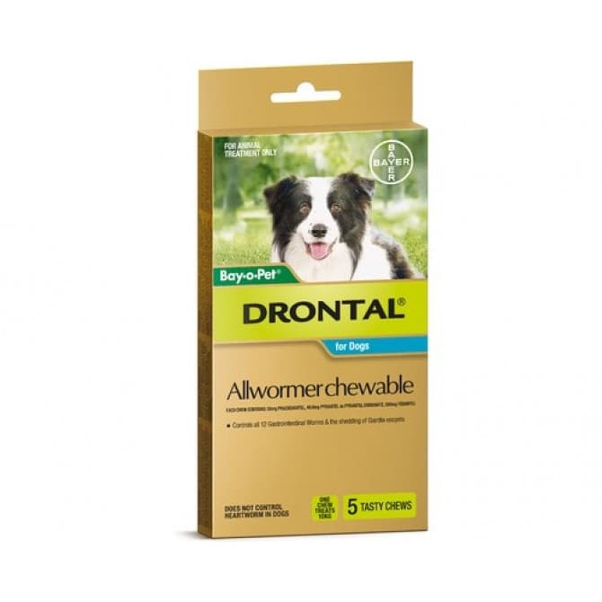 Buy Drontal Dog Allwormer Chewable Medium 10kg 5 Pack Online | Chempro ...