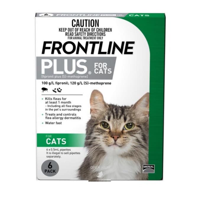 Buy Frontline Plus For Cats 6 Pack Online | Chempro Chemists